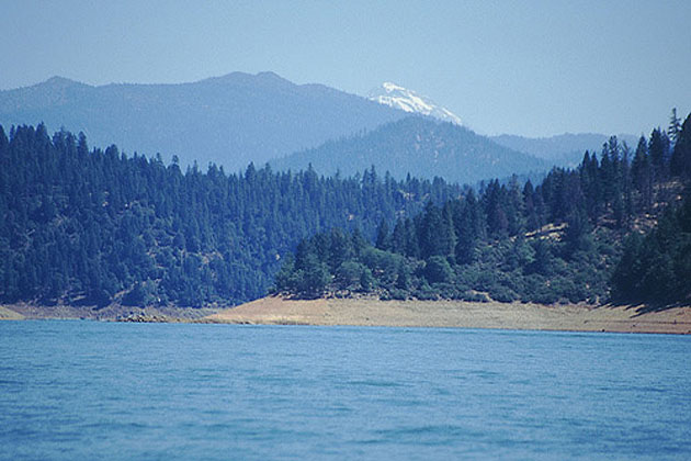 Trinity Lake California Trinity Lake Tarantulas Stock Photo Download